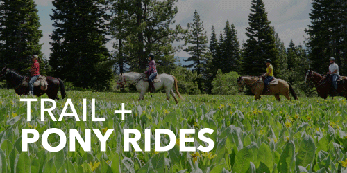 Equestrian | Tahoe Donner